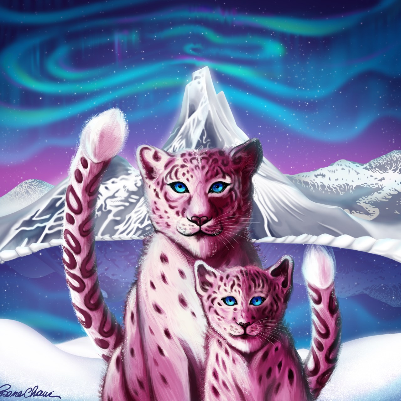 Welcome to my world – The visual experience